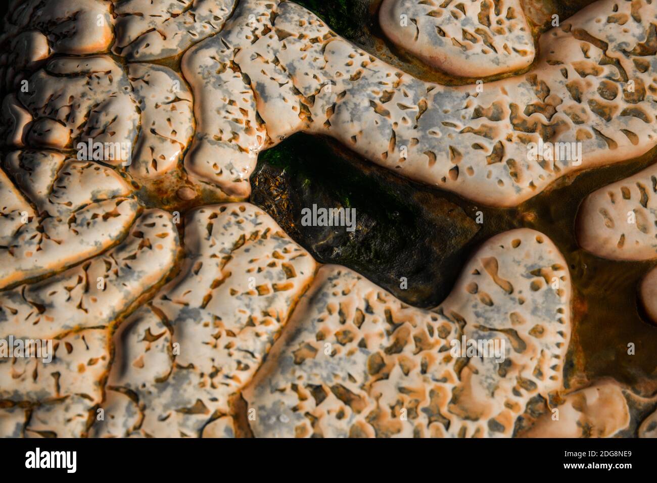 Abstract natural rocky background of the stones with spring water ...