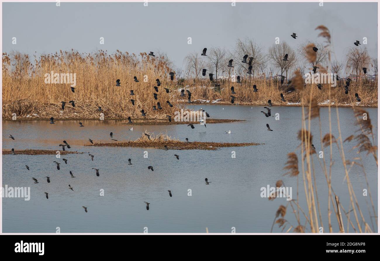 Jiangsu xinghua hi-res stock photography and images - Alamy