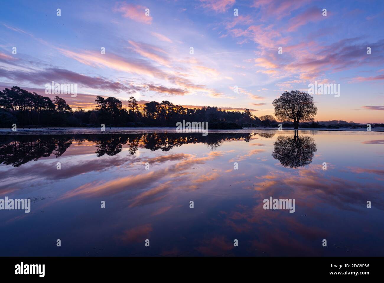 Fritham winter hi-res stock photography and images - Alamy