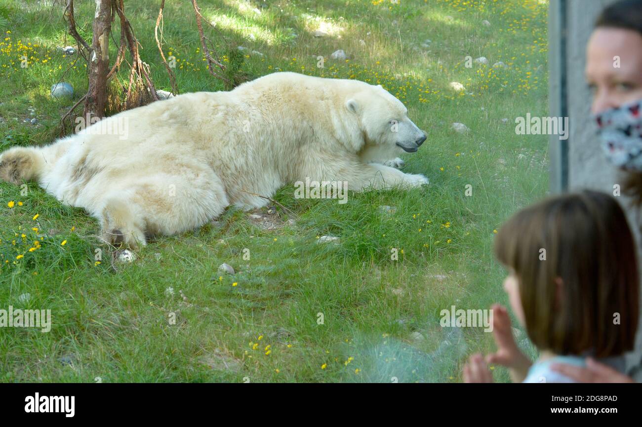 Rostock castle hi-res stock photography and images - Alamy