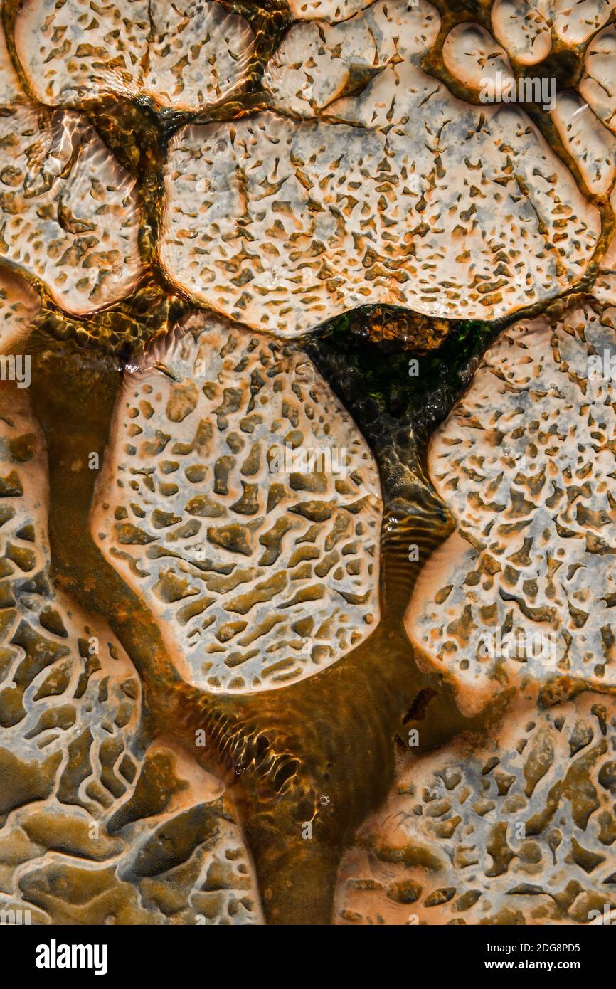 Abstract natural rocky background of the stones with spring water ...