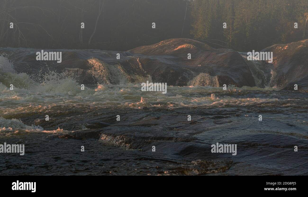 Wild river rapids in the forest with morning fog and sunrise. Blurred ...