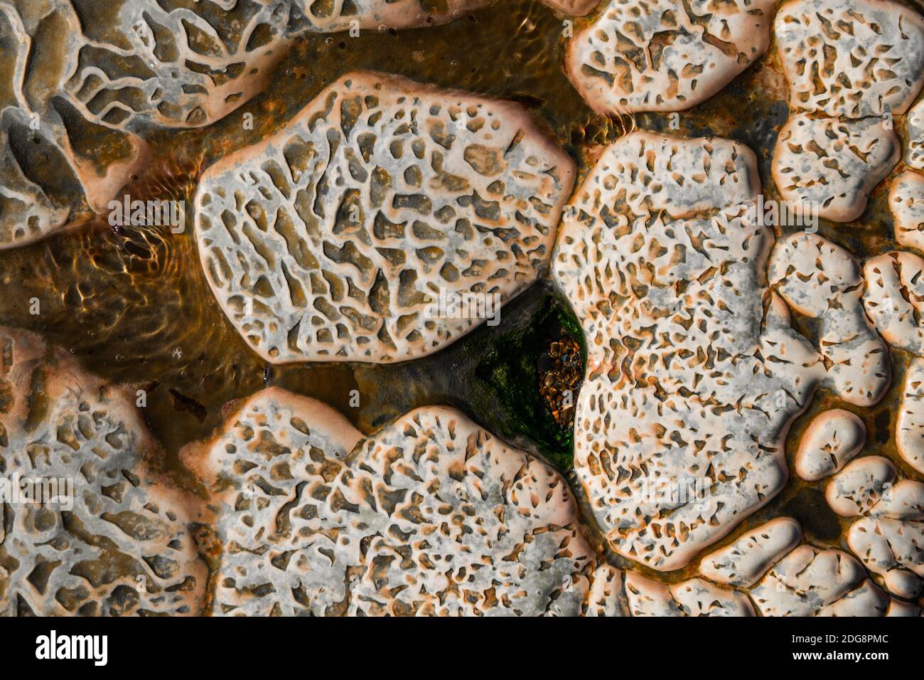 Abstract natural rocky background of the stones with spring water ...