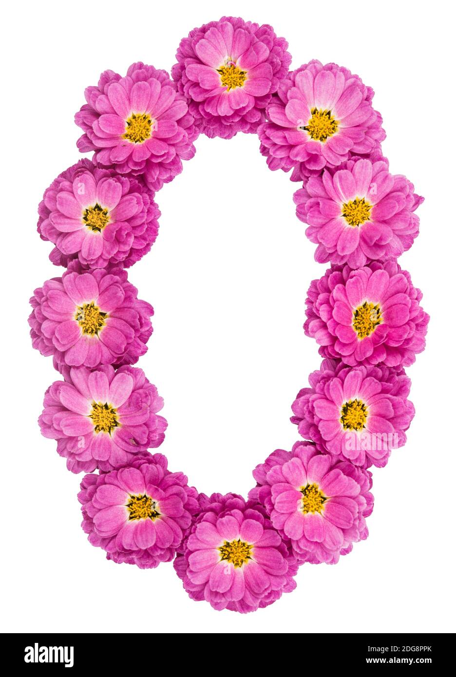 Arabic numeral 0, zero, from flowers of chrysanthemum, isolated on ...