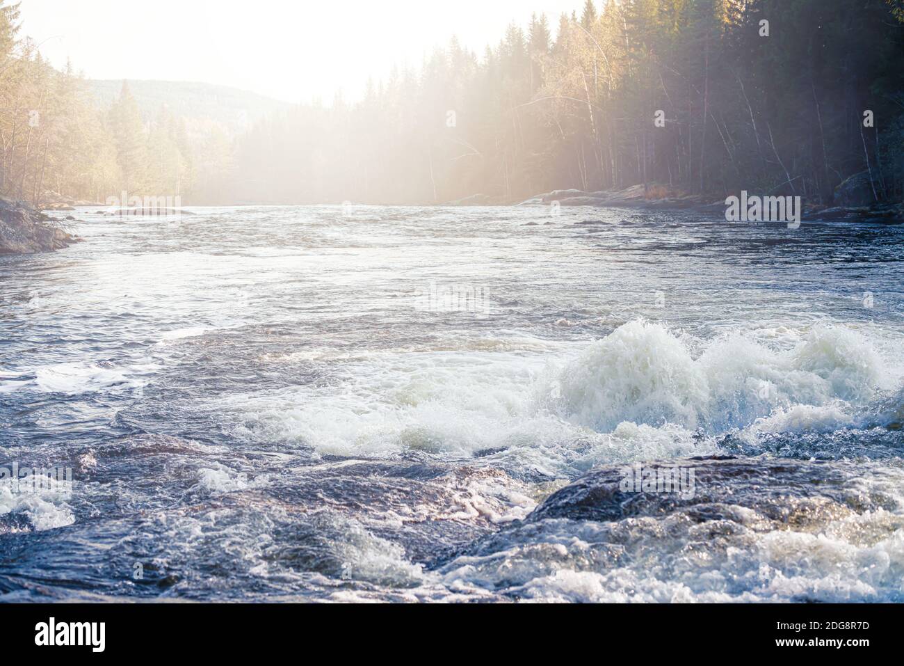 Wild river rapids in the forest with morning fog and sunrise. Blurred ...