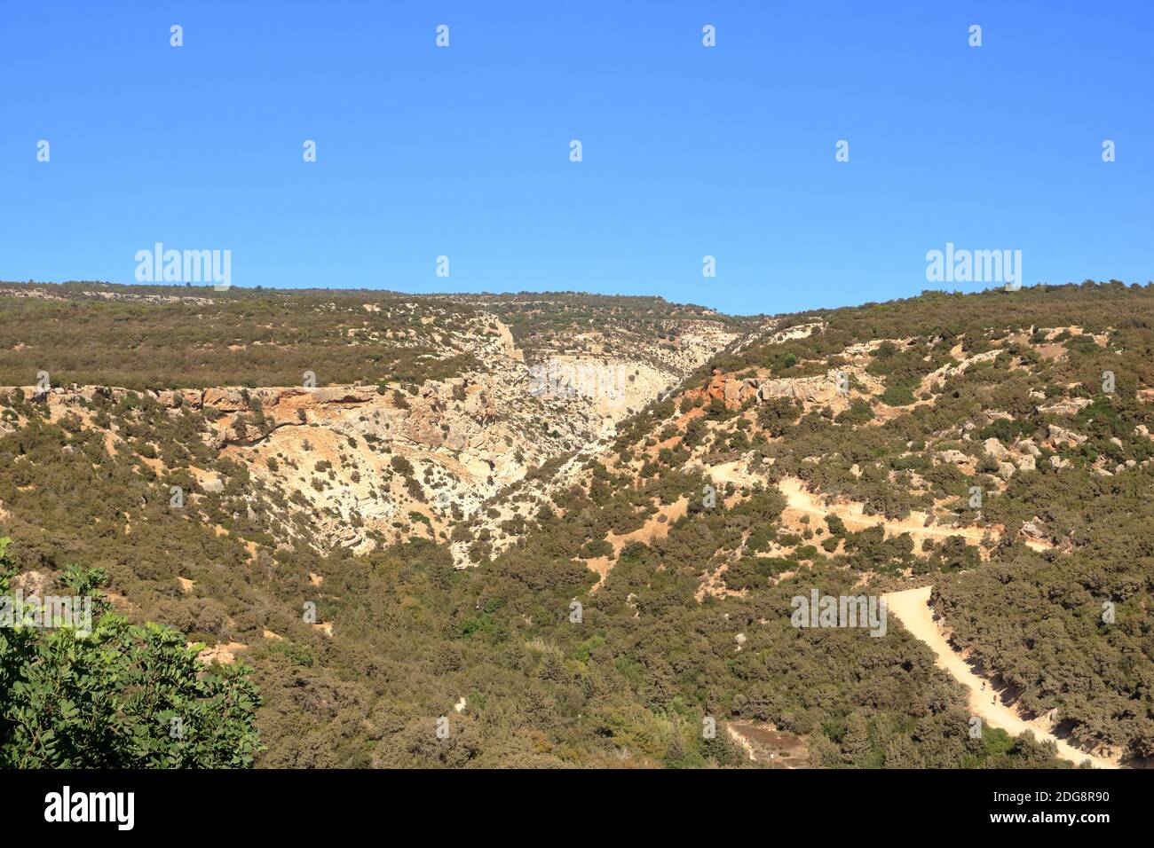 view on the Avakas Gorge with steep rocks and river on bottom. Akamas ...
