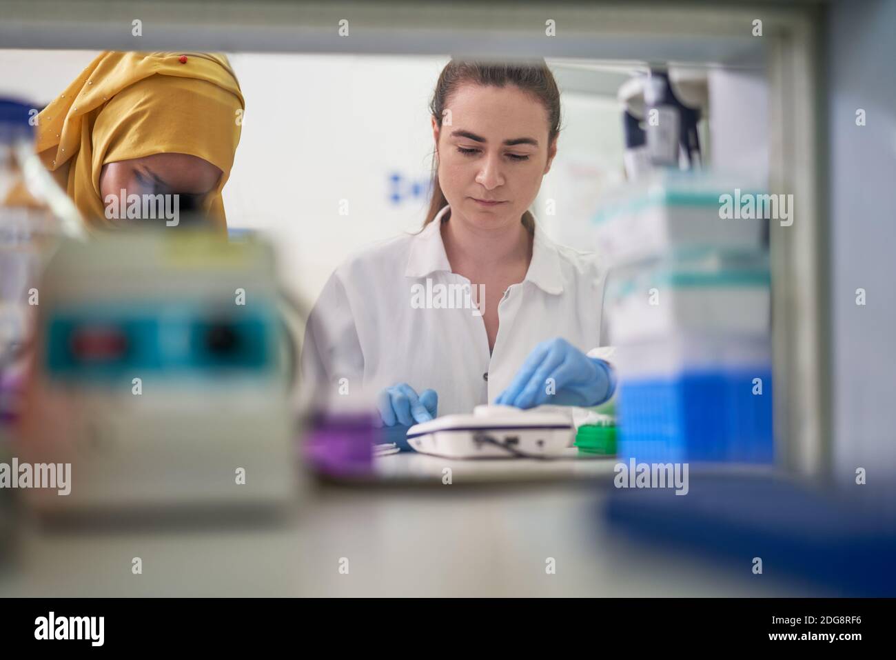 Female scientists working in laboratory Stock Photo - Alamy