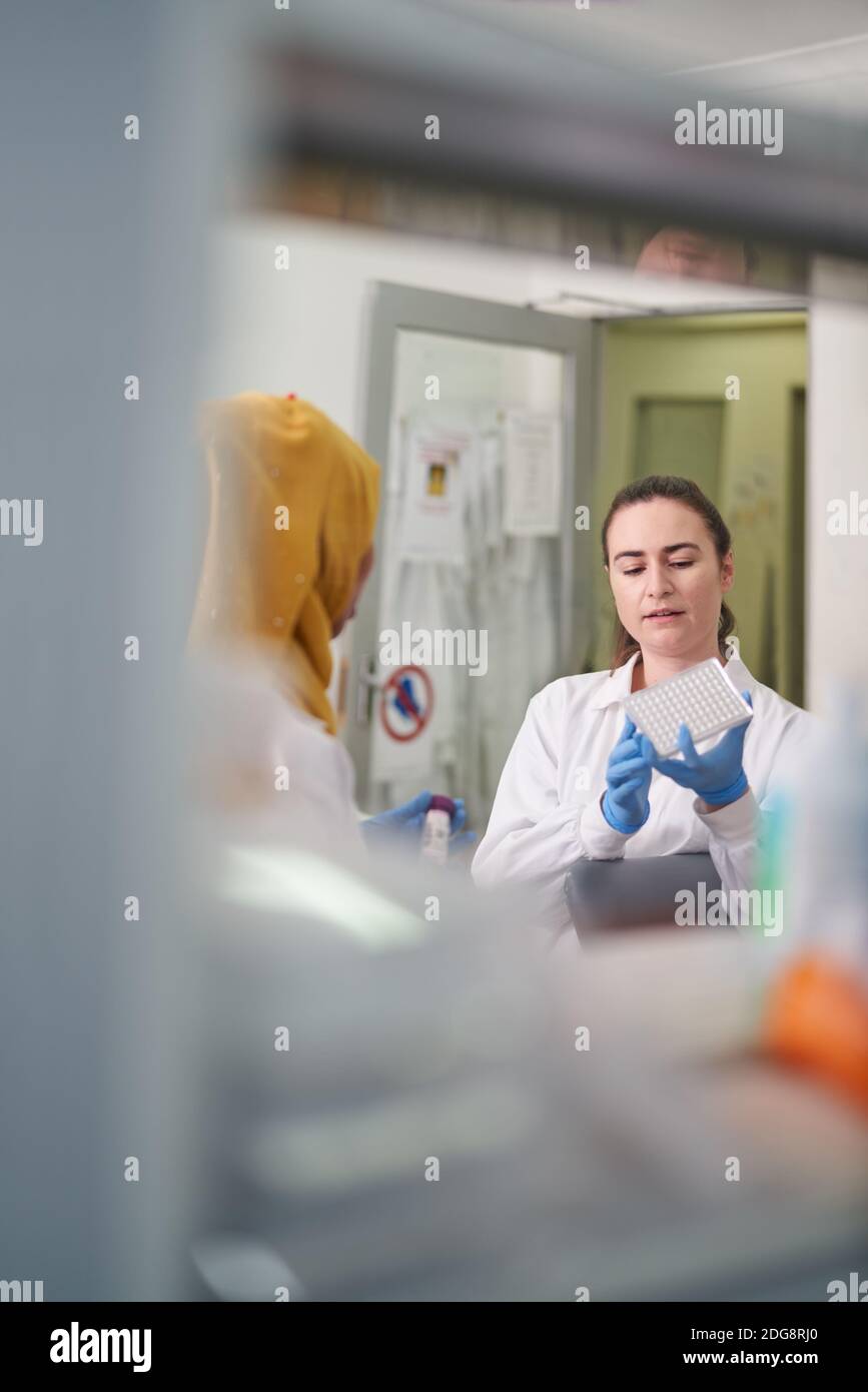 Female scientists with specimen tray in laboratory Stock Photo - Alamy