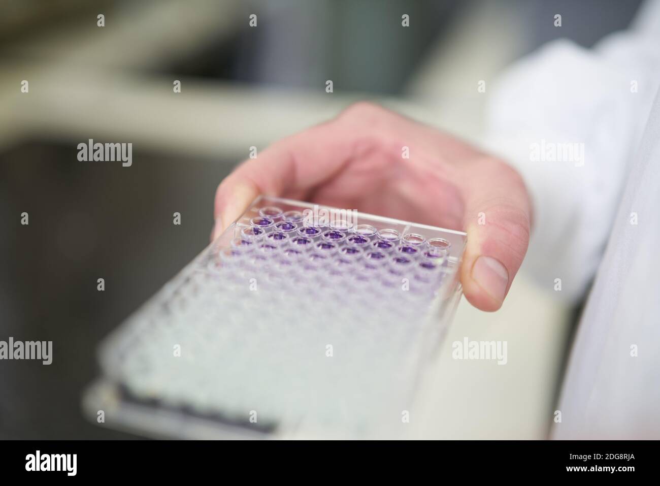 Close up scientist holding specimen tray Stock Photo - Alamy