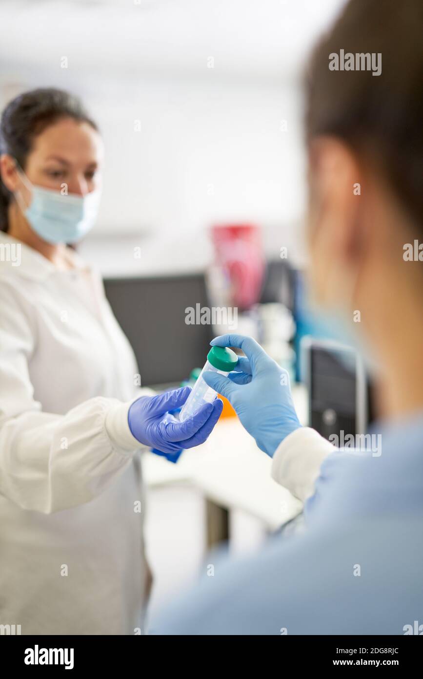 Female scientists in face masks working in laboratory Stock Photo - Alamy