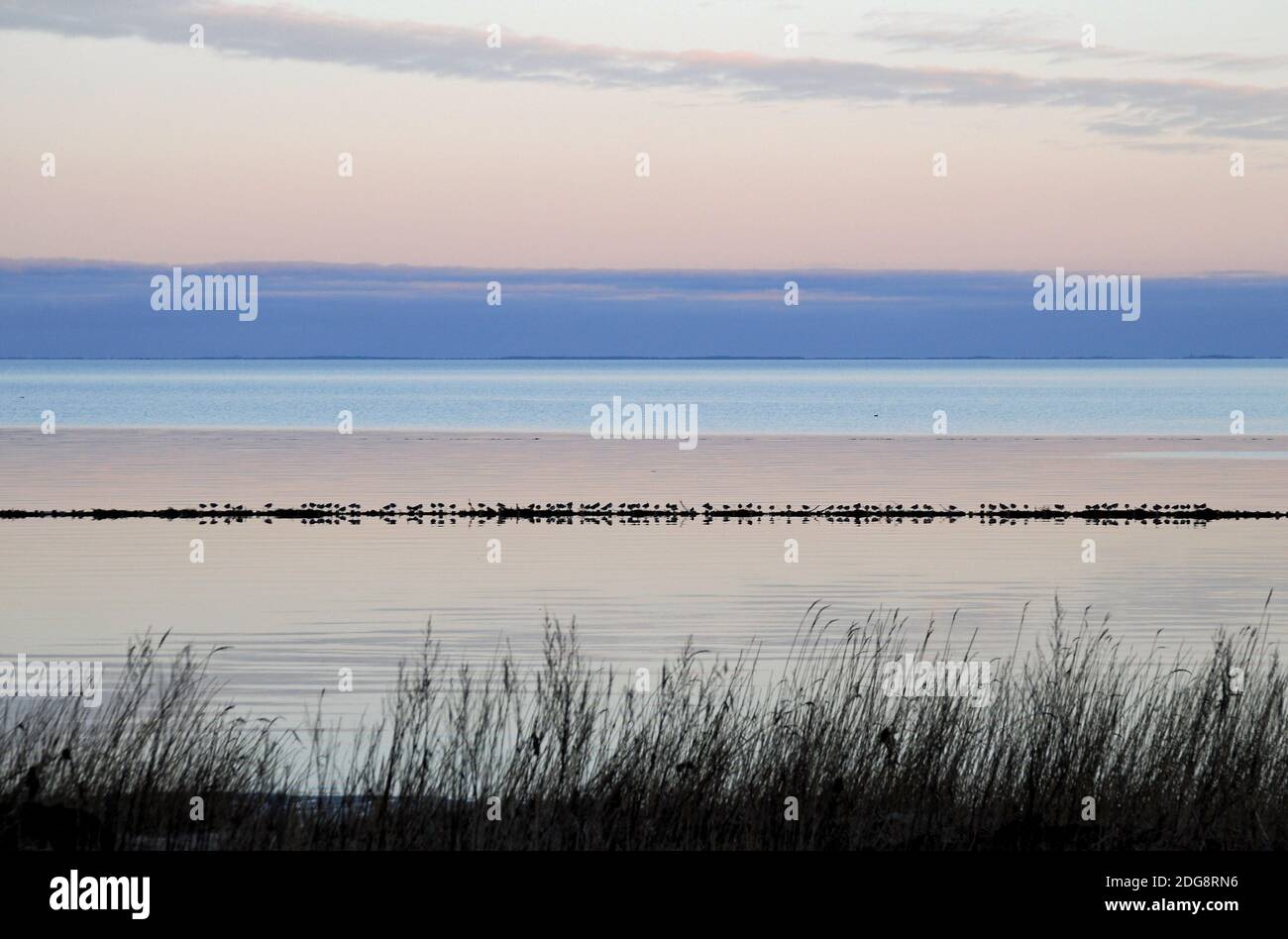 Fascines hi-res stock photography and images - Alamy