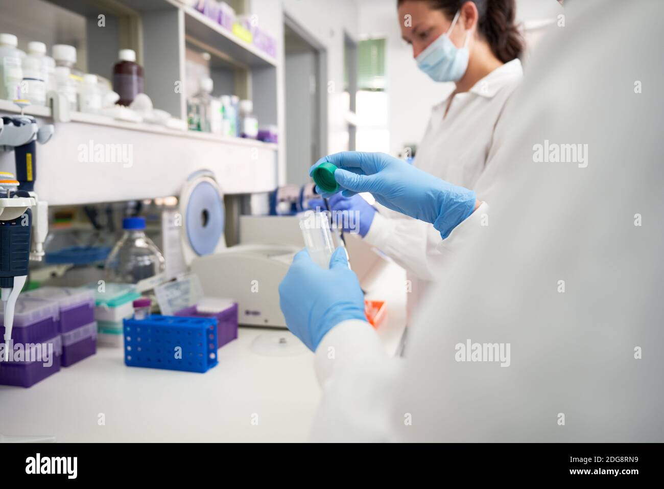 Female scientists in gloves and face mask working in laboratory Stock ...