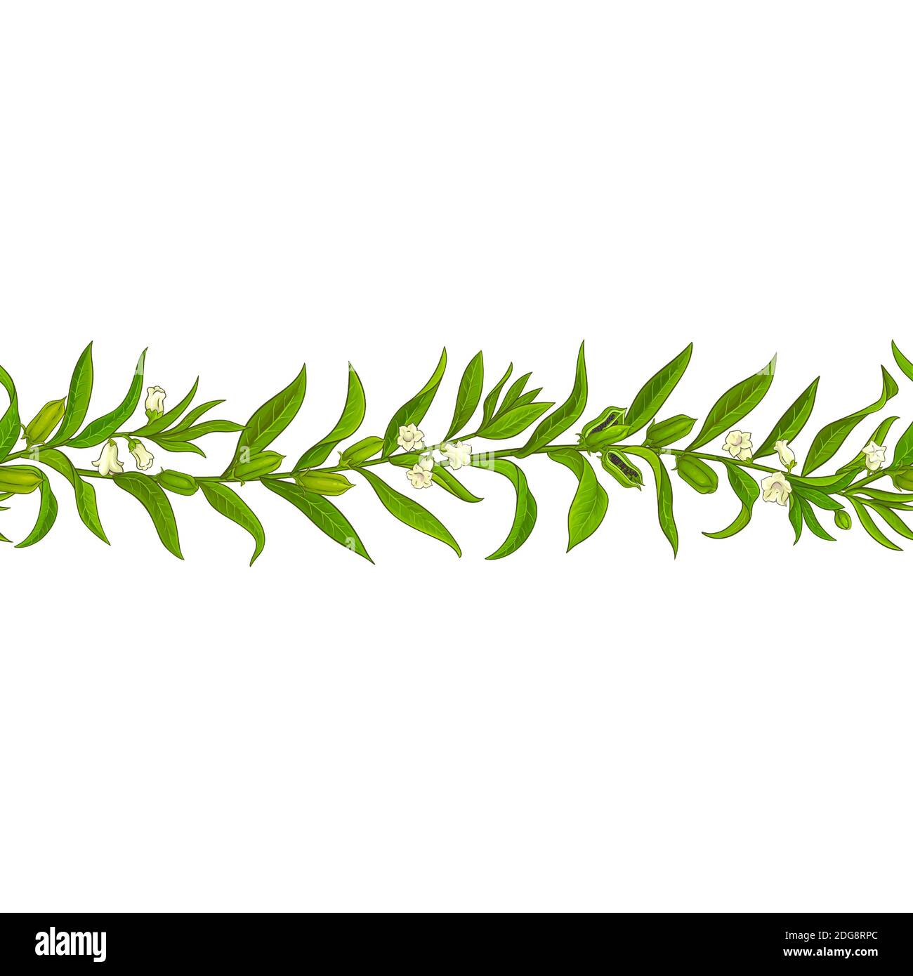 Sesame oil isolated Stock Vector Images - Alamy