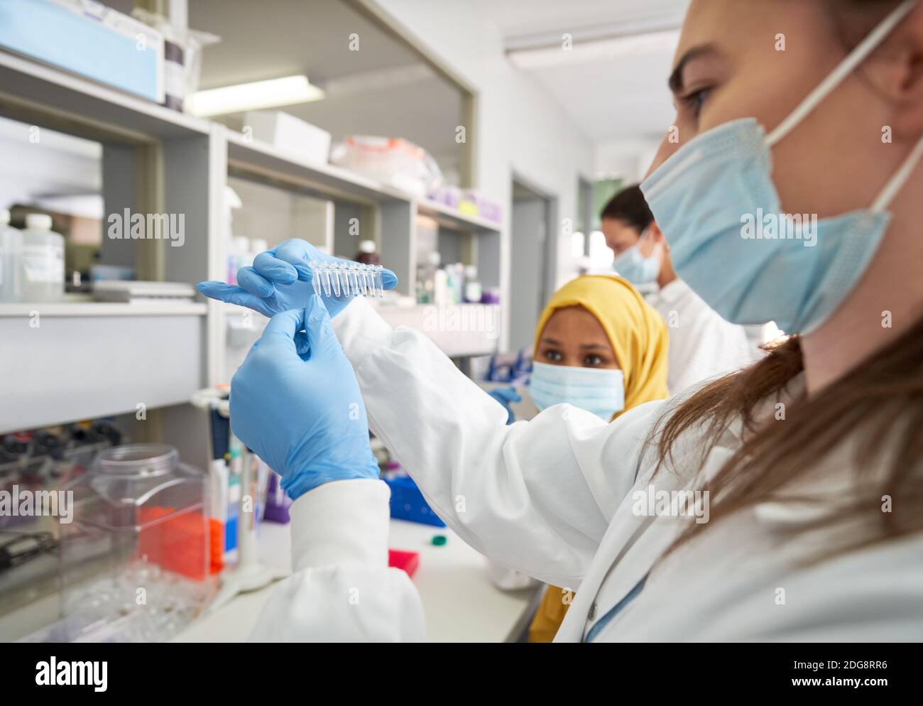 Female scientists in face masks and rubber gloves examining specimens ...
