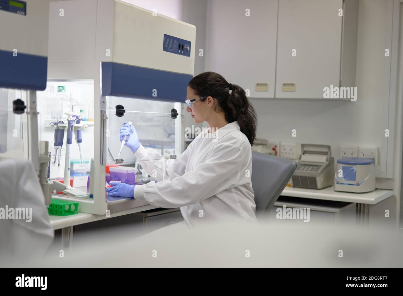 Female scientist with pipette working at fume hood in laboratory Stock ...