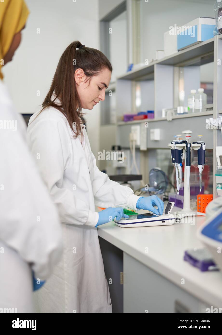 Female scientists using equipment in laboratory Stock Photo - Alamy