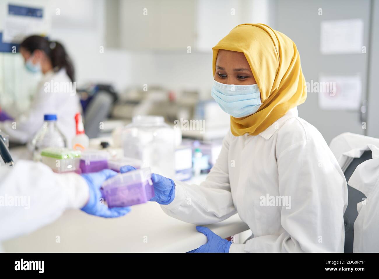 Female scientist in hijab in face mask working in laboratory Stock ...