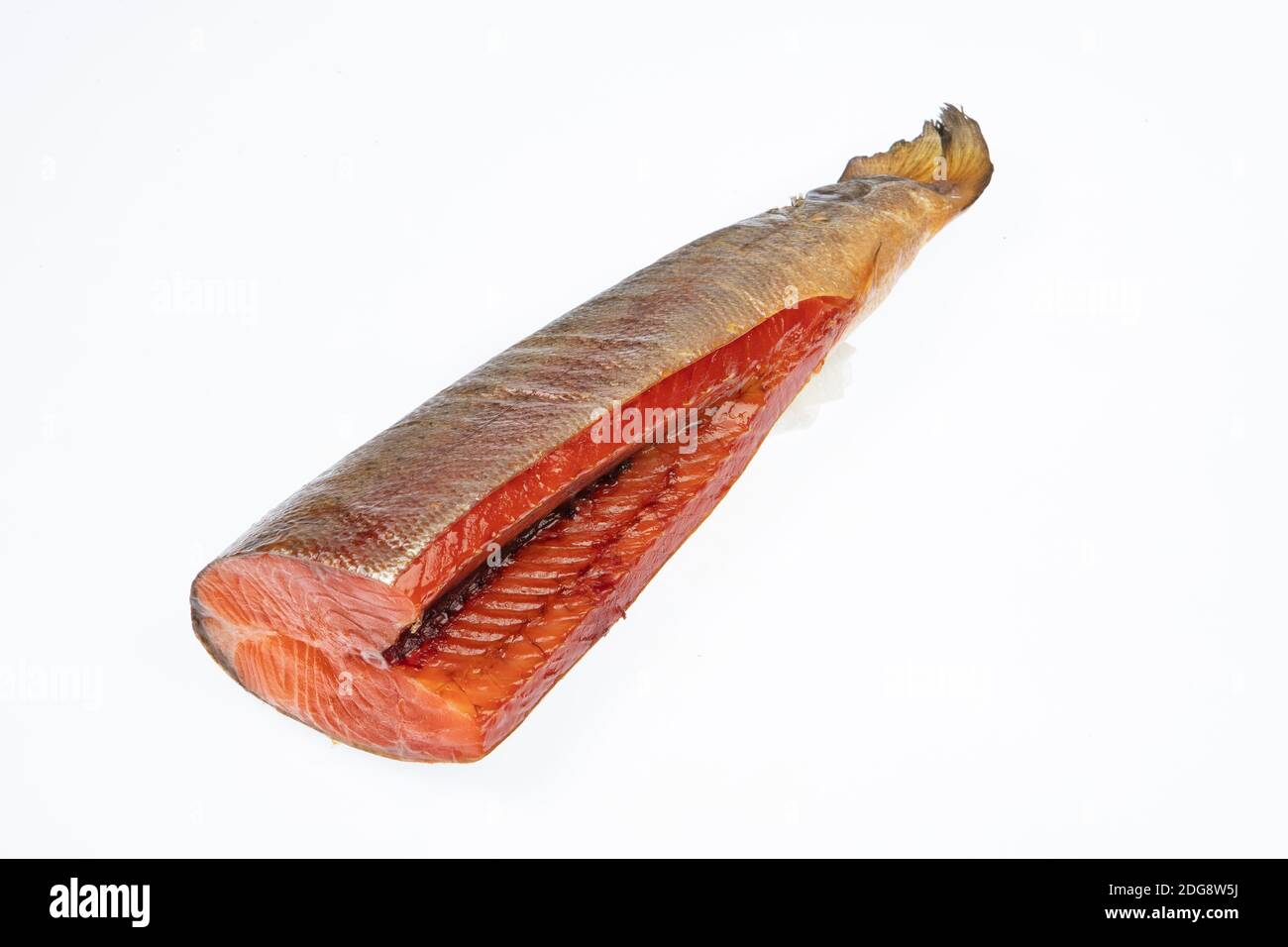 Fish on an isolated white studio background Stock Photo - Alamy