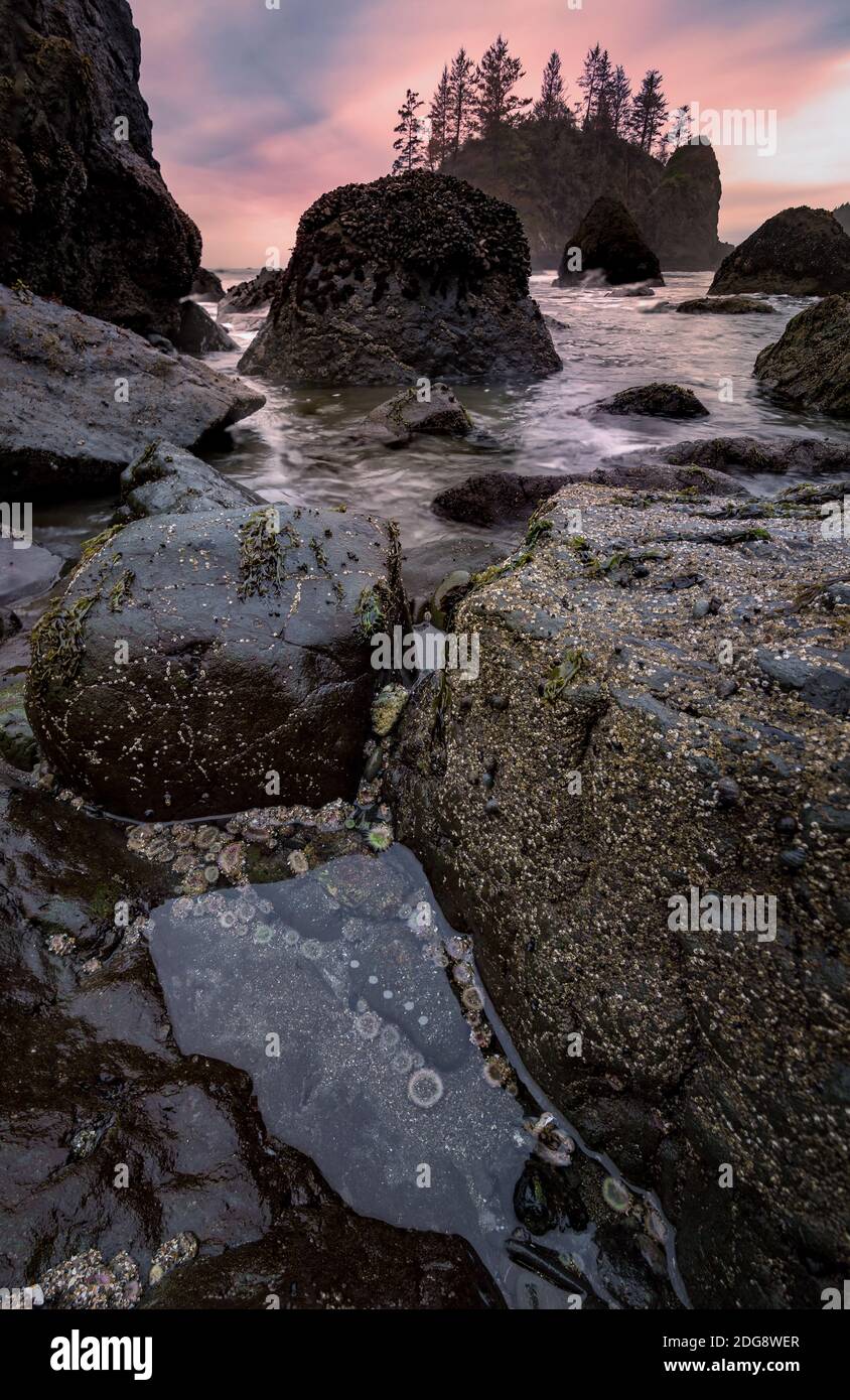 Rocky Beach Tidepools, Landscape at Sunset Stock Photo - Alamy