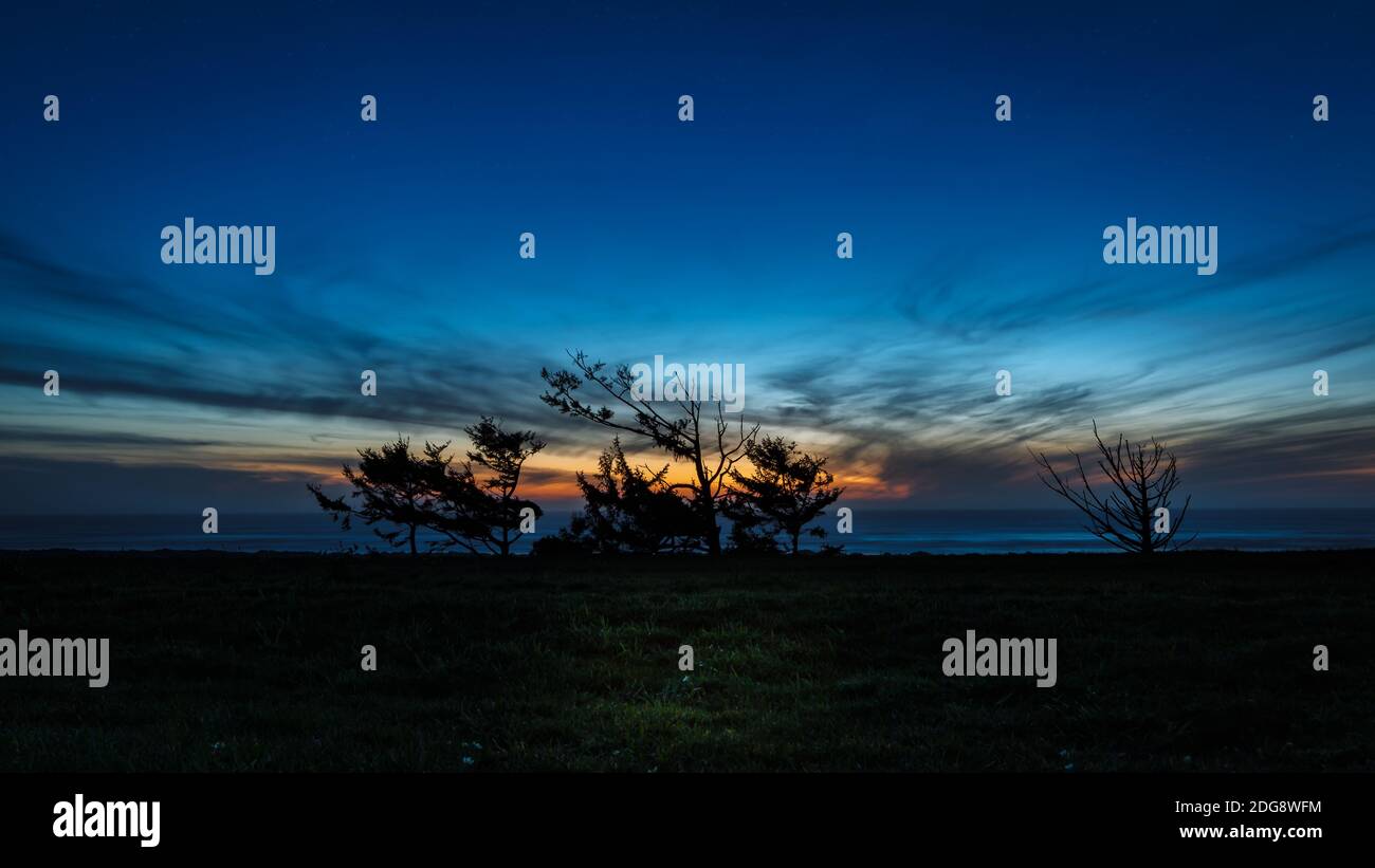 Blue Hour Sunset with Trees Stock Photo - Alamy