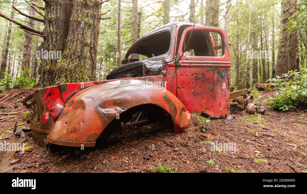 Rusty Vehicle in the Forest Stock Photo - Alamy