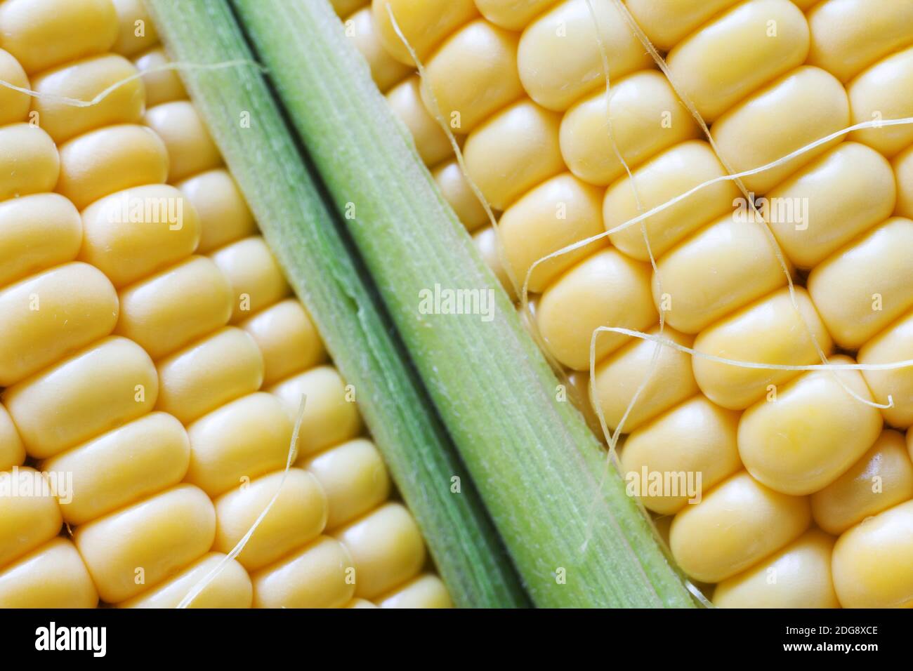 Useful food grain texture hi-res stock photography and images - Alamy