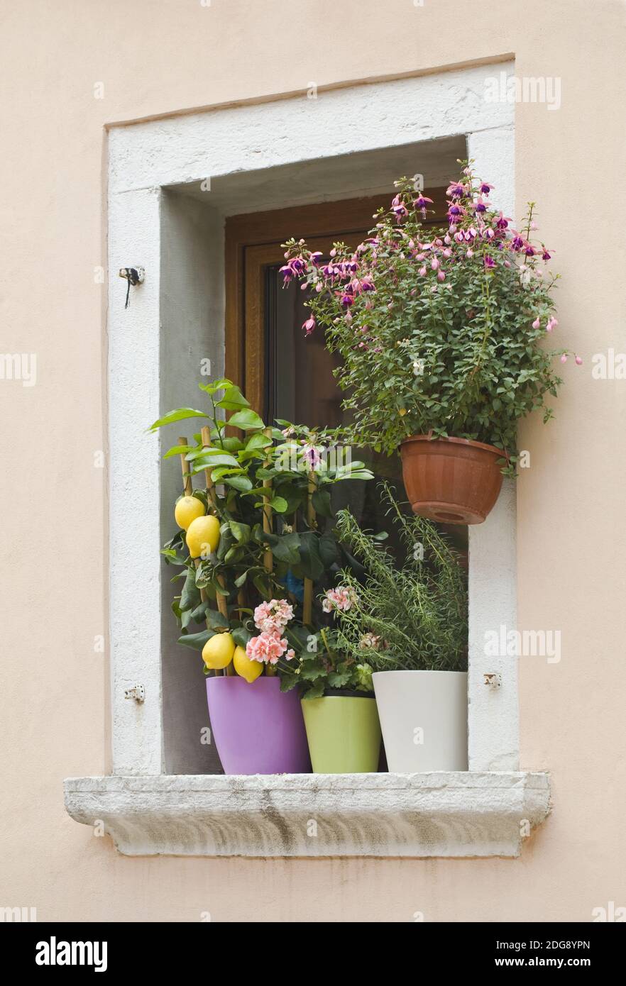 Mediterranean Window Flowers Stock Photo - Alamy