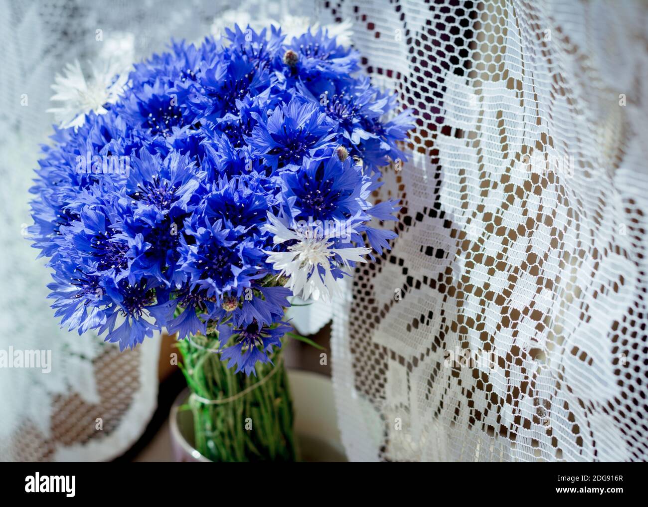 a small bouquet of blue flowers cornflower stands in a vase on the ...