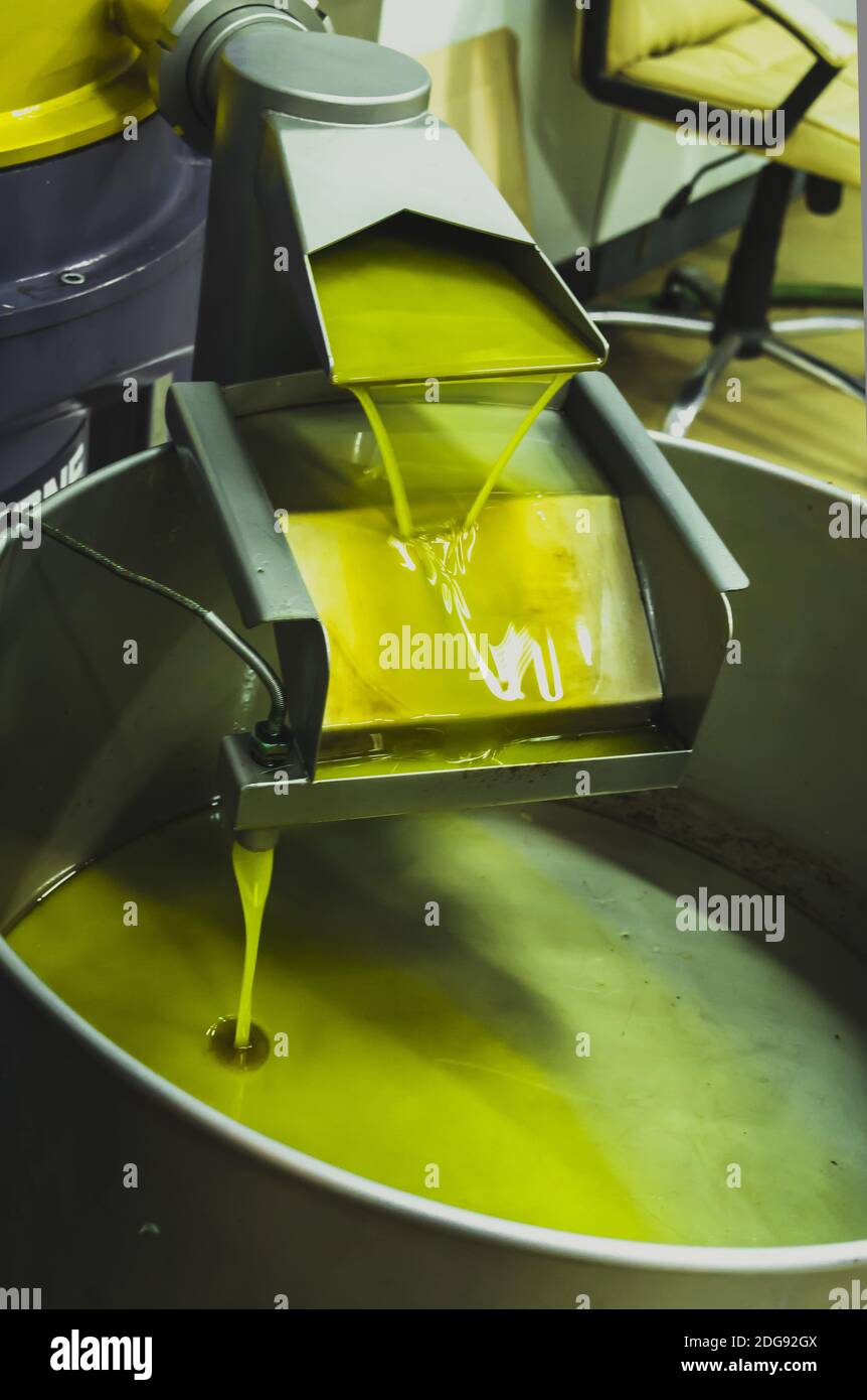 A vertical shot of olive oil extraction process in a factory Stock ...