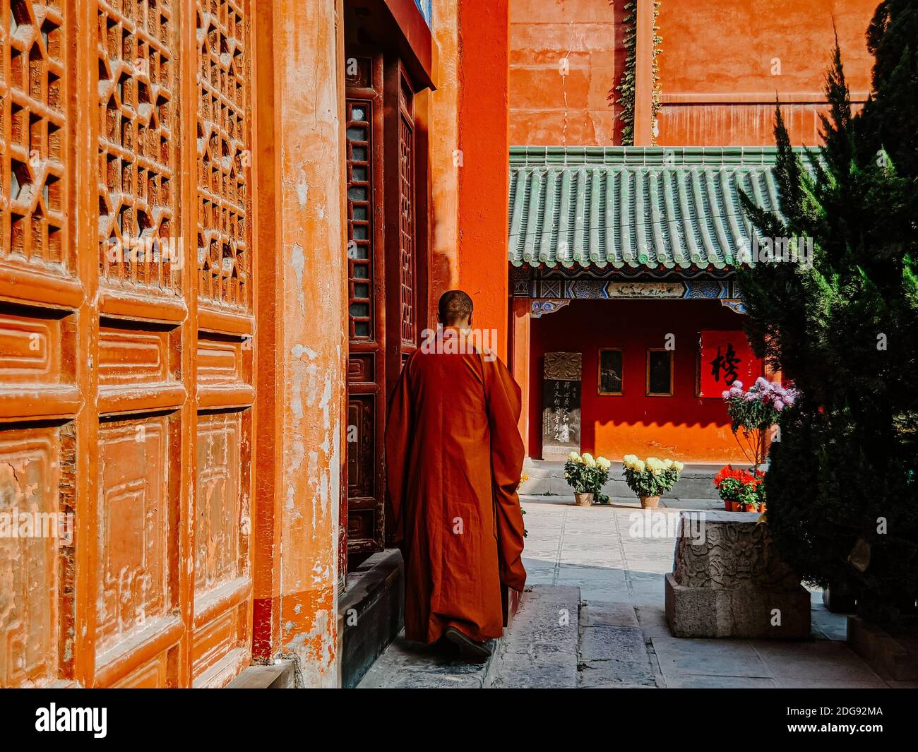 A back view of a monk in an orange uniform walking near a te Stock ...