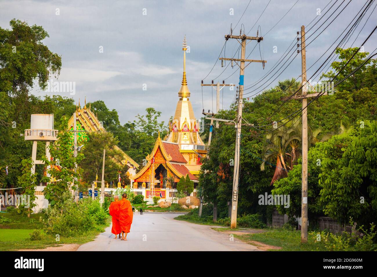 Buddhist monks walking back to the temple in the morning Stock Photo ...