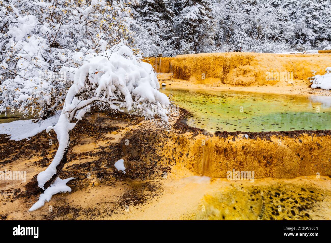 Pond colorful hi-res stock photography and images - Alamy