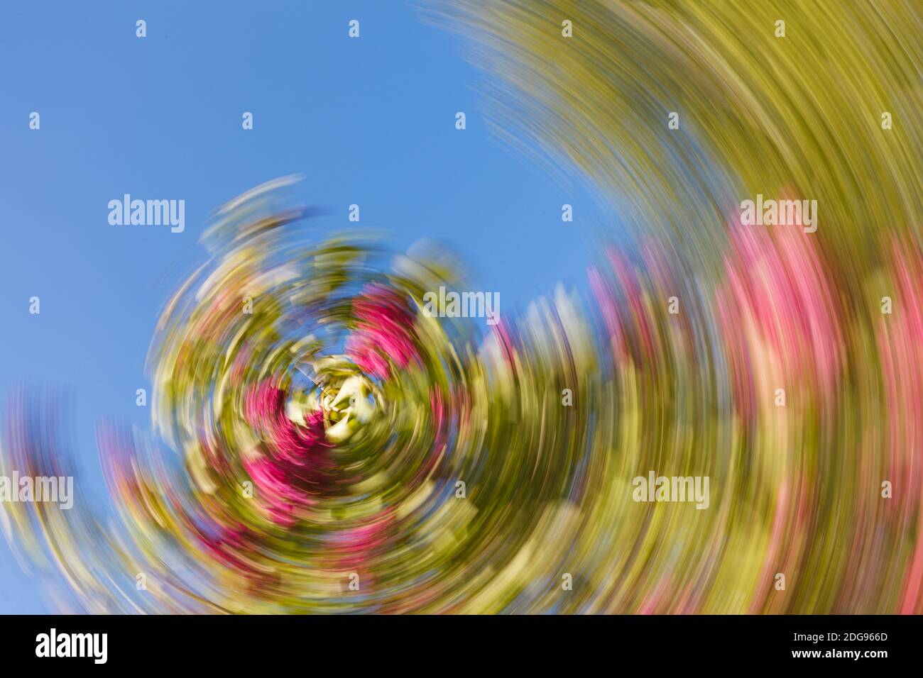 Artsy swirling motion blurred purple flowers Stock Photo - Alamy