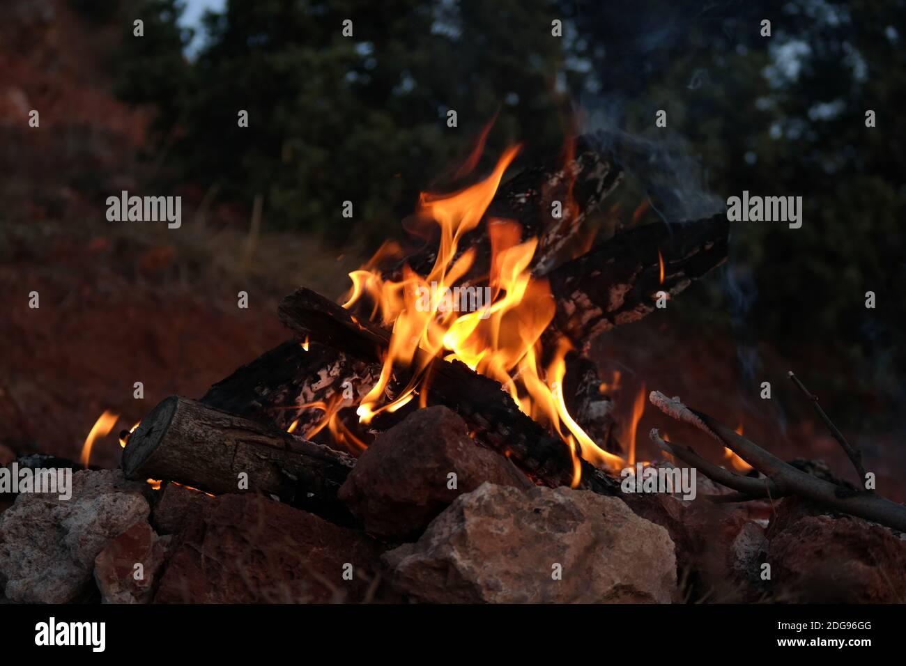 Image of orange flames of a camp fire with burning oak tree woods ...