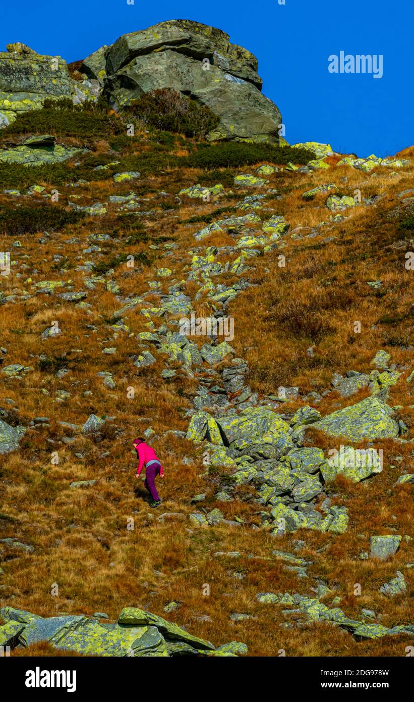 Woman climbing up a steep hill in autumn colors Stock Photo - Alamy