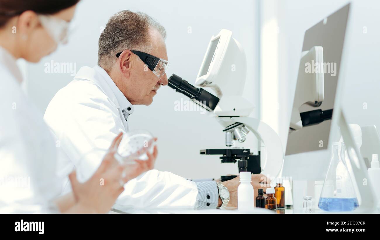 scientists using a microscope to study bacteria in a Petri dish Stock ...
