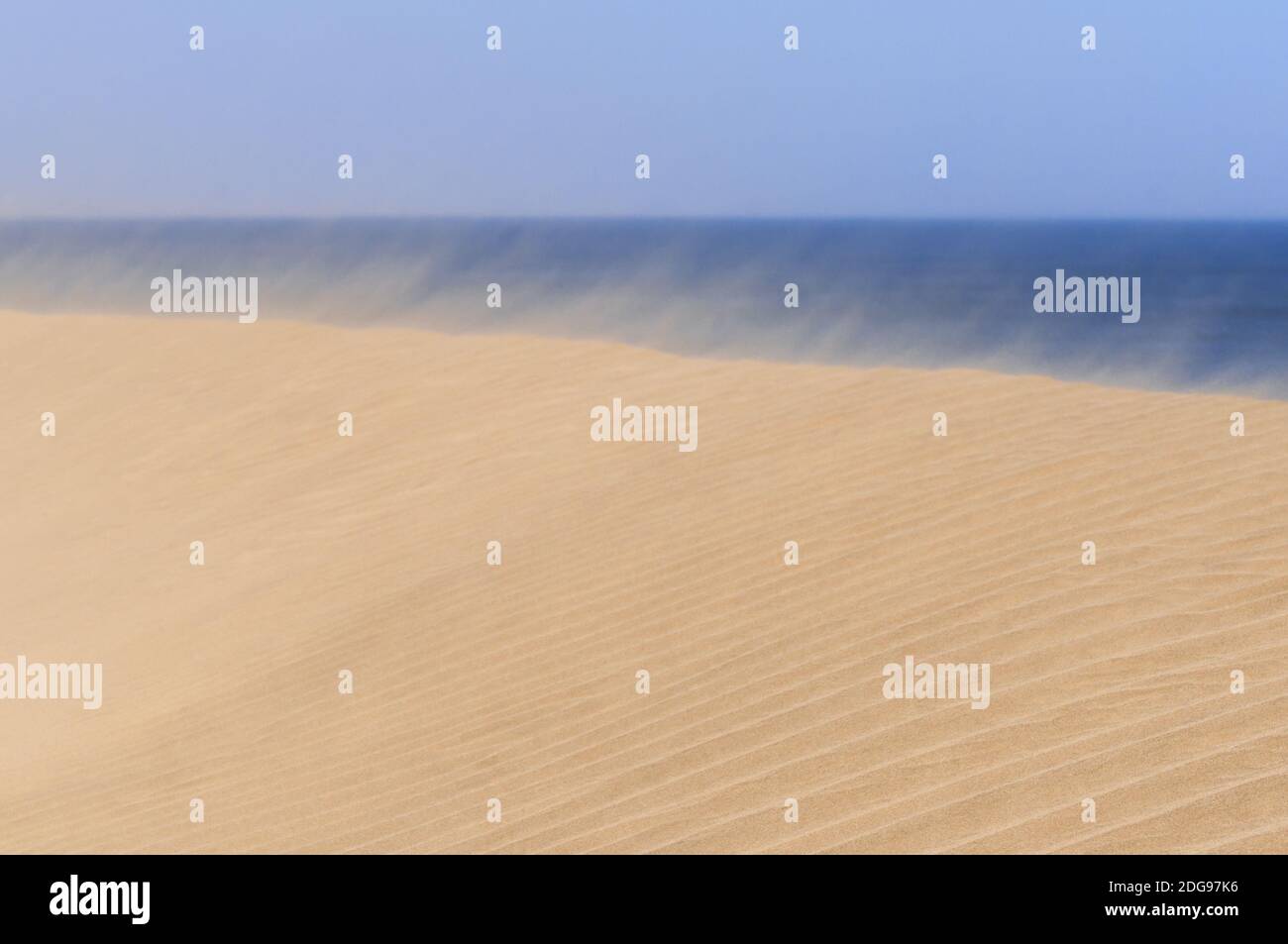 Sandstorm on the Skeleton Coast, dunes to the Atlantic Ocean, Namib ...
