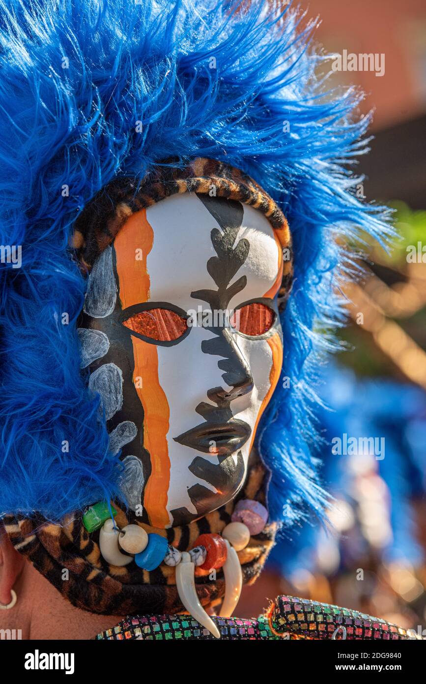 Carnival mask with blue wig Stock Photo - Alamy