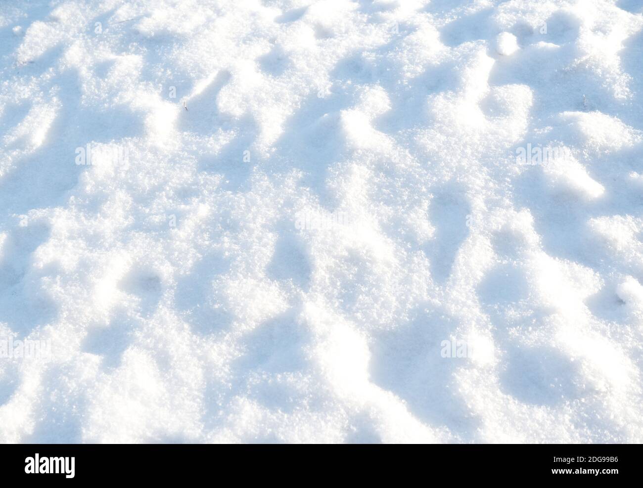 Fresh snow cover hi-res stock photography and images - Alamy