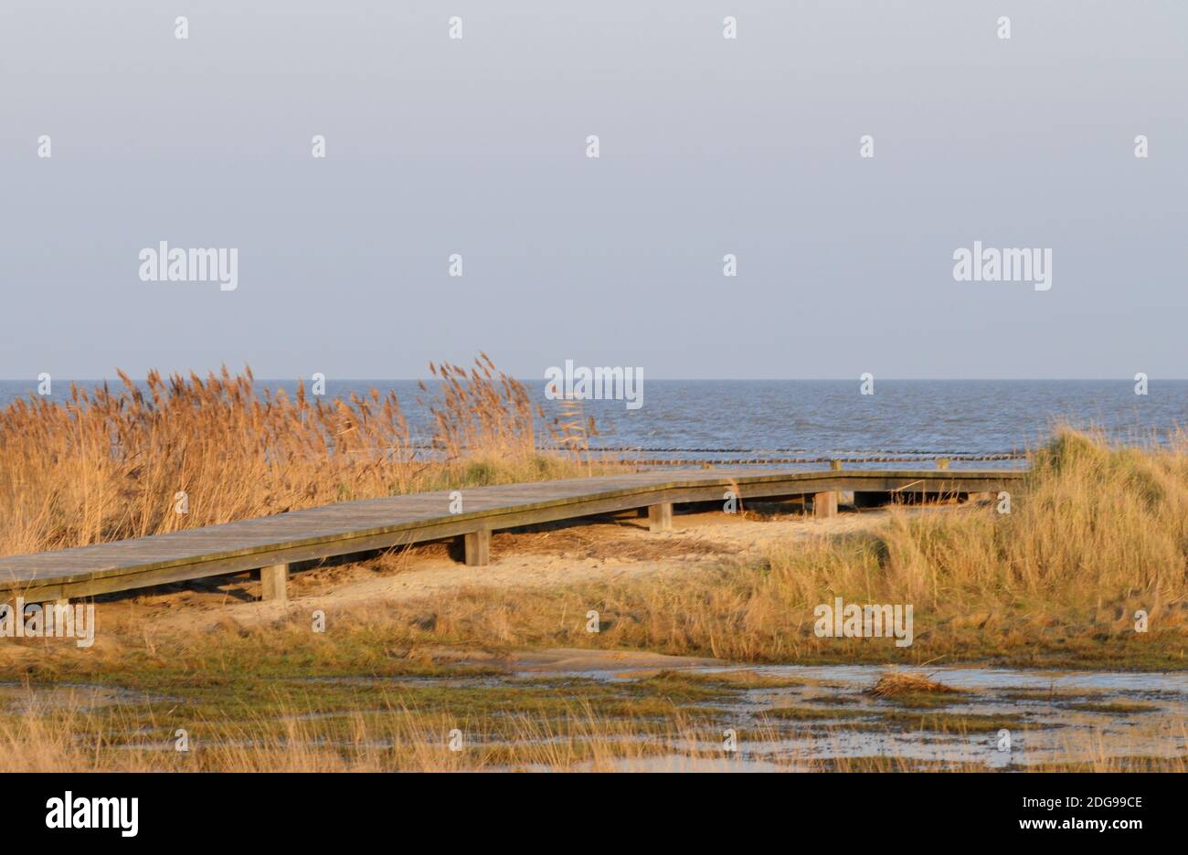 Wooden planks bridge Stock Photo - Alamy