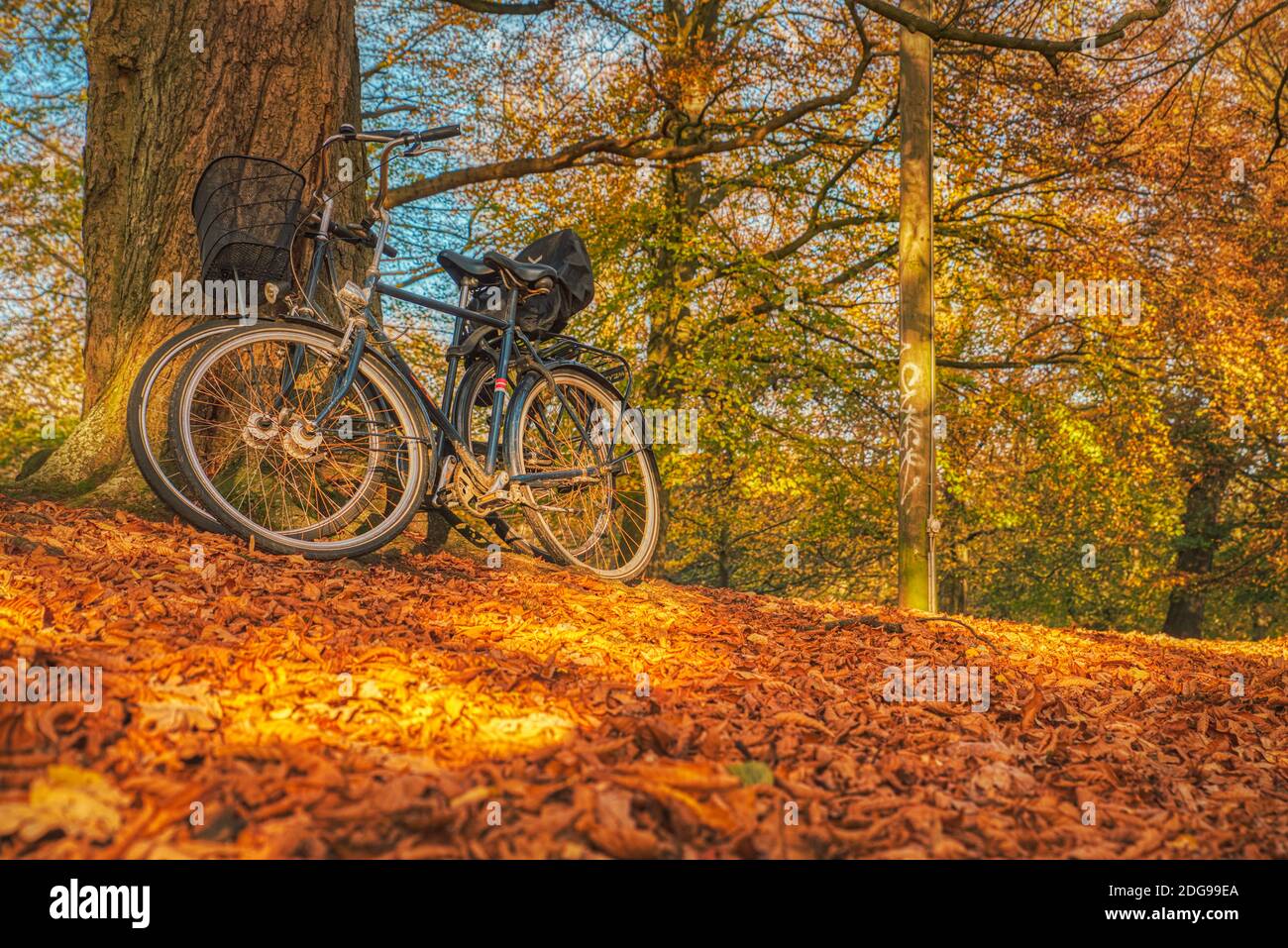 Bike leaning against tree hi-res stock photography and images - Alamy