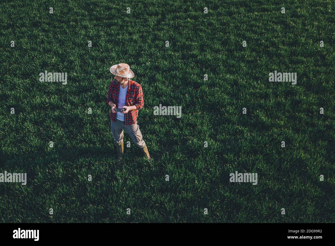 Wheat farmer using drone remote controller in wheatgrass field. Aerial ...