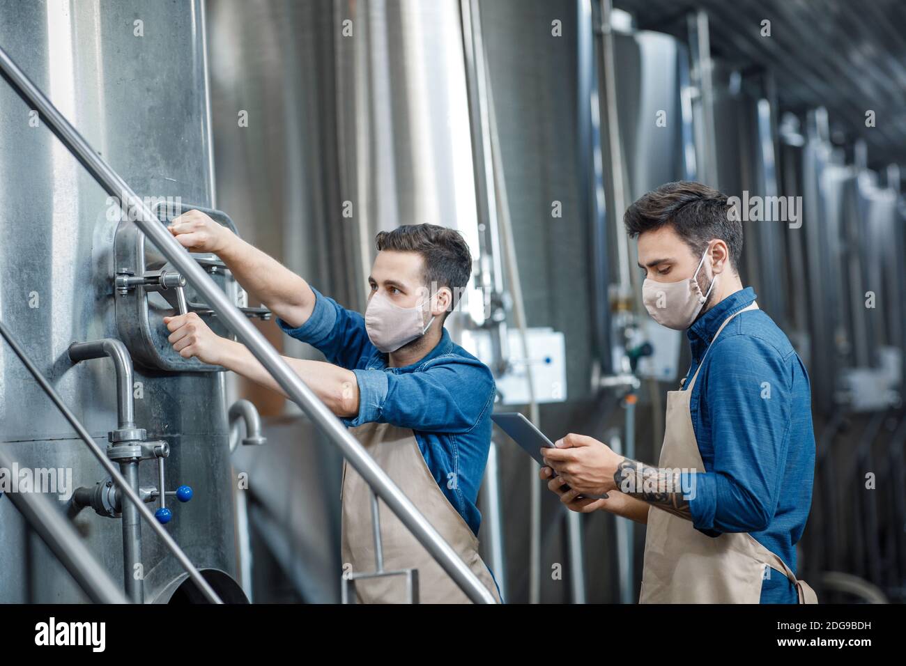 Workers at brewery and fermentation of beer to produce beverage Stock ...
