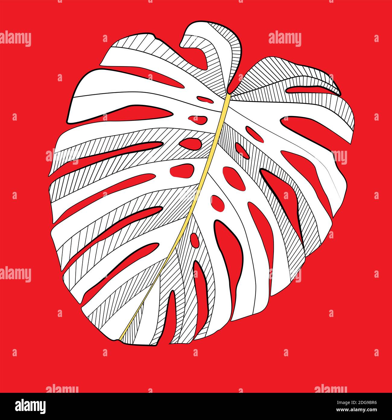 Monstera leaf outline hi-res stock photography and images - Alamy