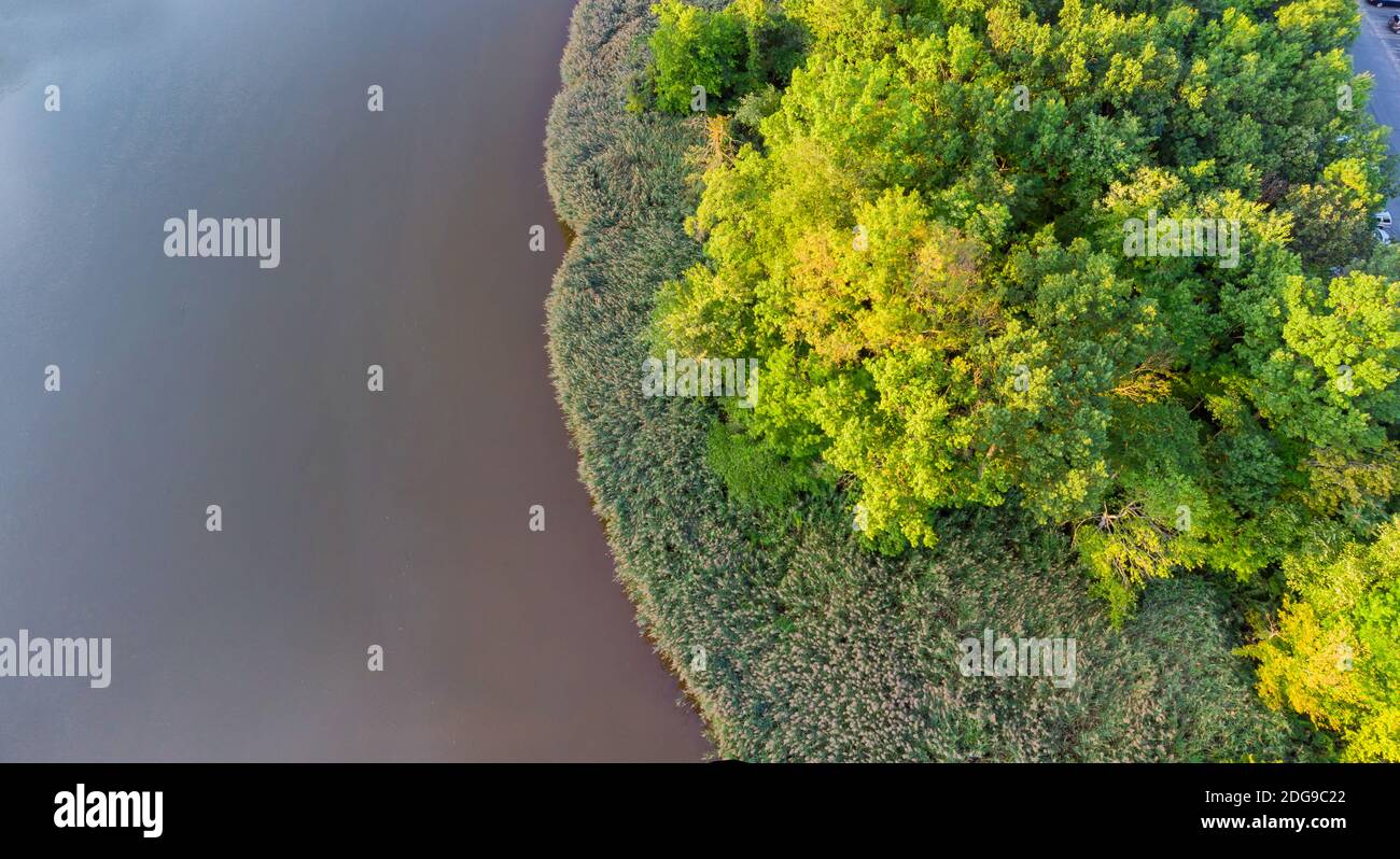 Green forest, swamp and small river captured from above with a drone ...