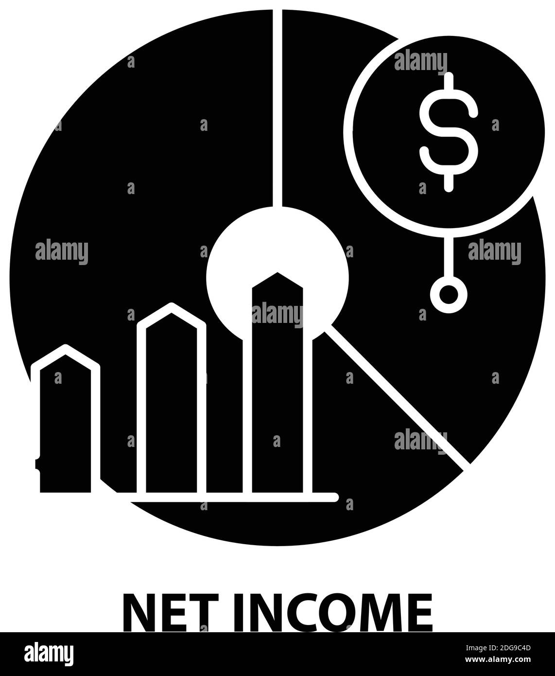 Income Icon Vector