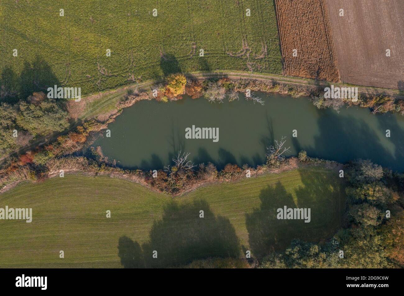 Picture of an aerial view of the landscape of a nature biotope pond ...