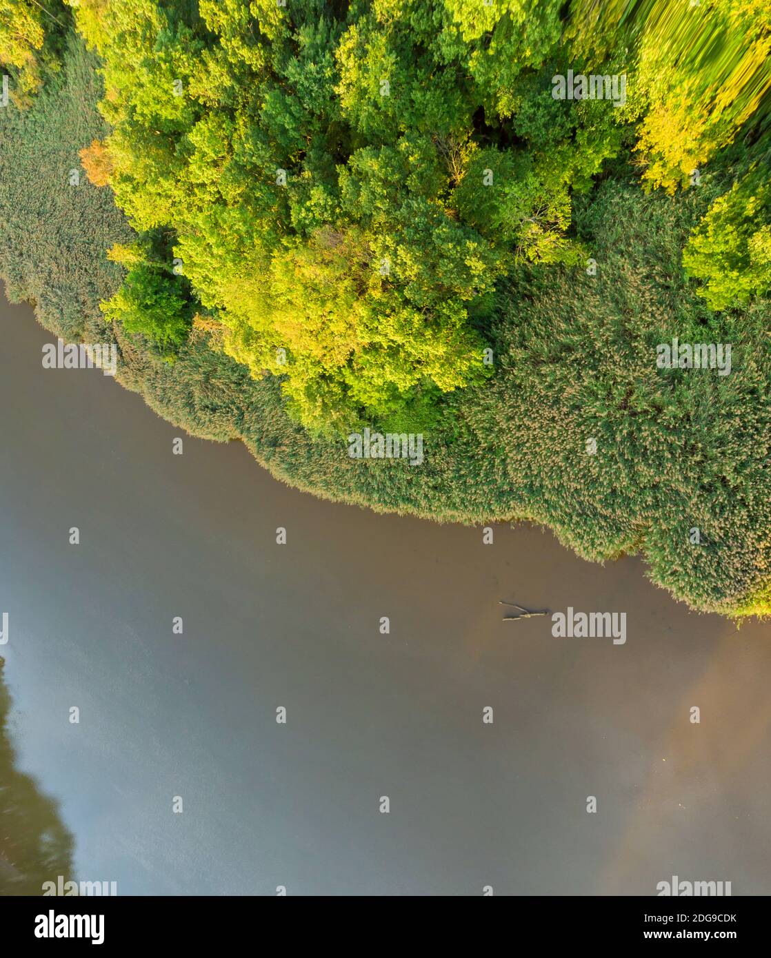 Green trees around lake hi-res stock photography and images - Alamy