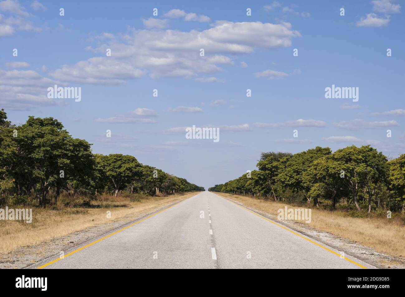 Horizontal Road Landscape