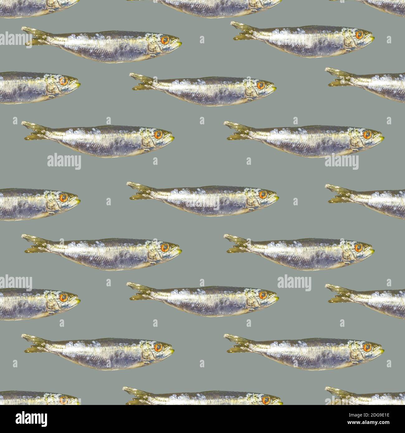 Seamlesss High Resolution Stock Photography and Images - Alamy